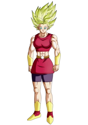 Kale (Canon, Dragon Ball Super)/Z's Universe | Character Stats and ...