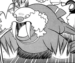 Archie (Canon, Pokémon Adventures)/Unbacked0 | Character Stats and ...