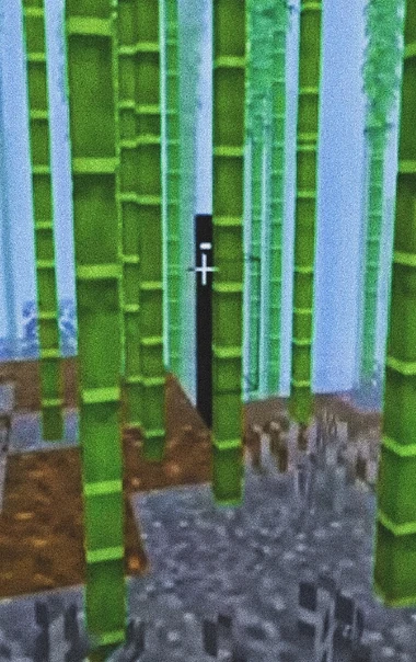 Invalid (Canon, Bionic; Minecraft)/Greatgorilangaqil | Character Stats ...