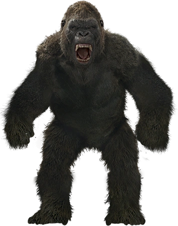 User blog:Town buster/Kong | Character Stats and Profiles Wiki | Fandom