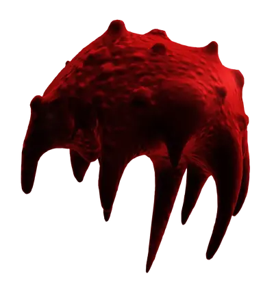 Necroa Virus (Canon)/Sans2345 | Character Stats and Profiles Wiki | Fandom