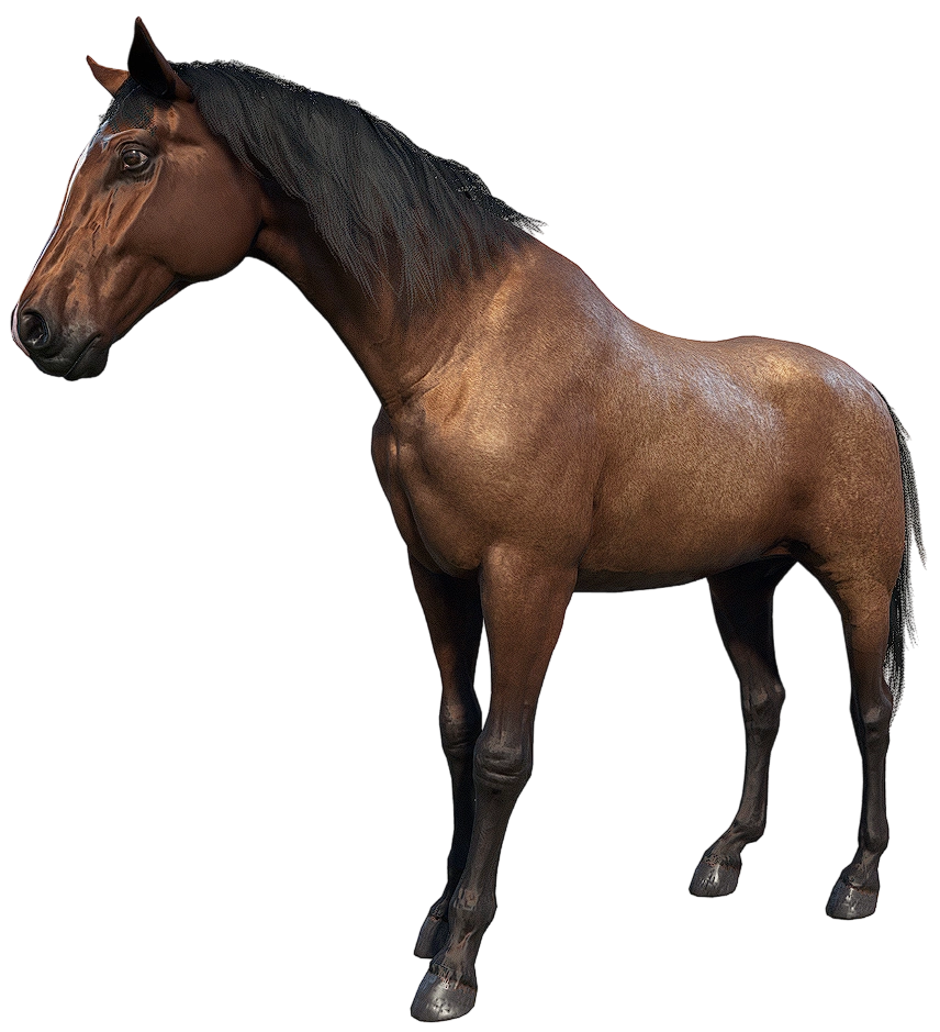 Horse (Canon, Red Dead Redemption)/StrikerIsJustStriker | Character Stats and Profiles Wiki | Fandom
