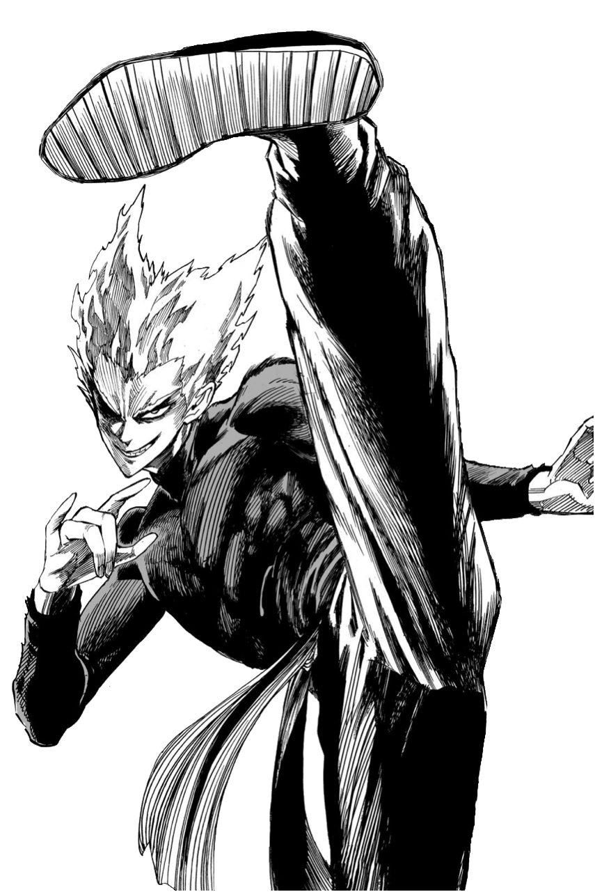 Garou (Canon)/ZeroTC01 | Character Stats and Profiles Wiki | Fandom
