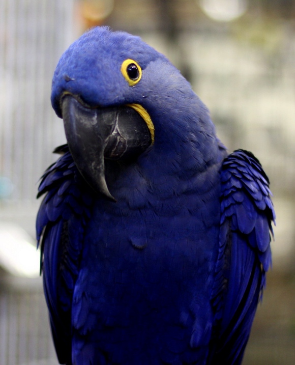 Entity 7 (Canon)/Sans2345 | Character Stats and Profiles Wiki | Fandom