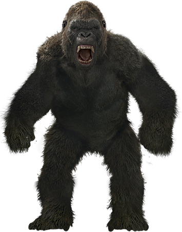 King Kong (Canon, MonsterVerse)/WAYNE.BORG | Character Stats and ...