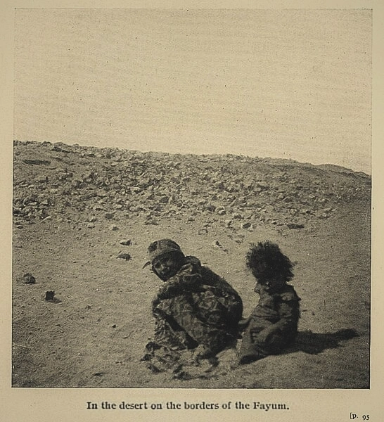 SCP-TR-009(Canon/SCP TR Branch) | Character Stats and Profiles Wiki ...