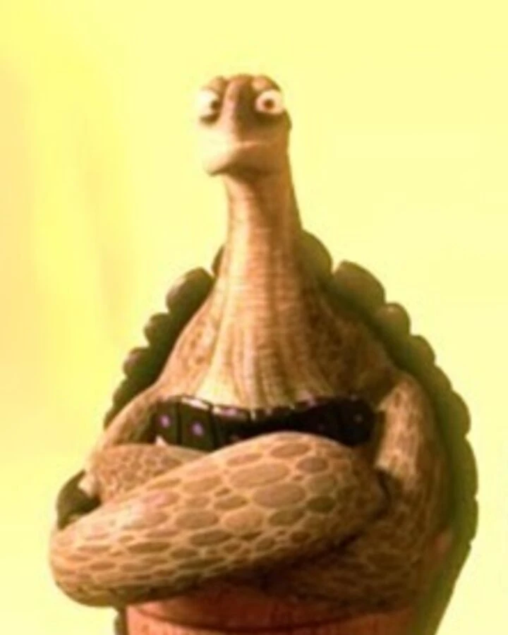 Black Tortoise (Canon, Kung Fu Panda: Paws of Destiny)/TaiLung5000 ...