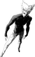 Garou (Canon)/ZeroTC01 | Character Stats and Profiles Wiki | Fandom