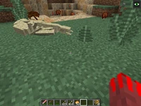 Myrmex (Canon, Ice and Fire, Modded Minecraft)/Greatgorilangaqil ...