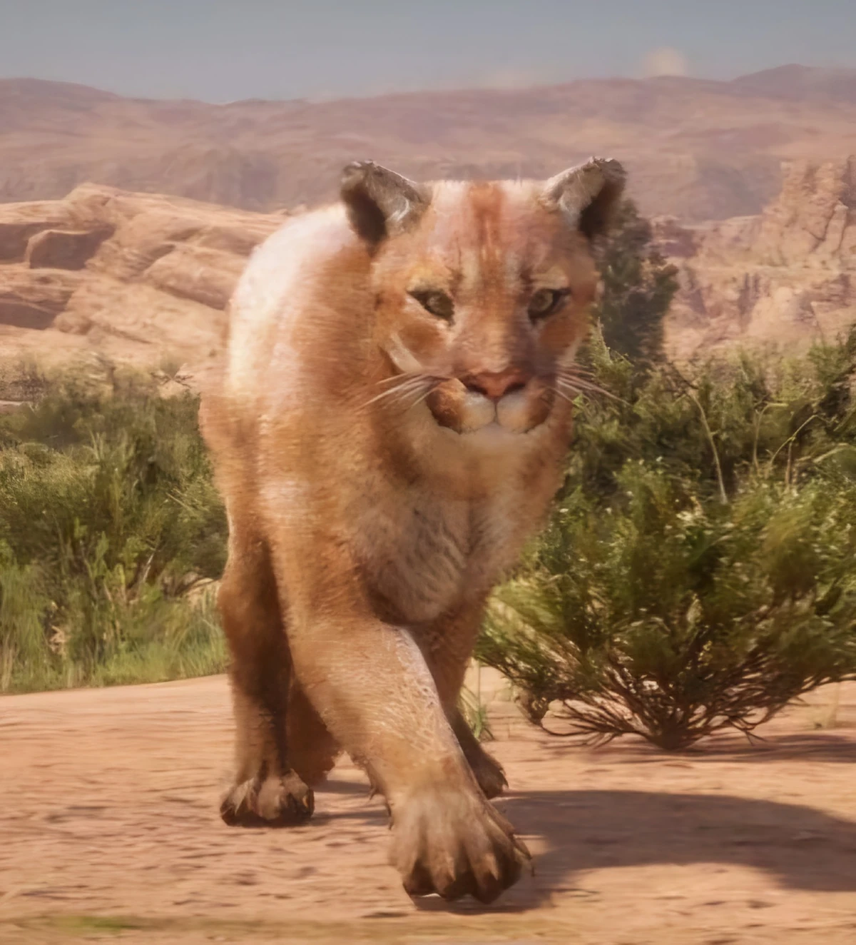 Cougar (Canon, Red Dead Redemption)/StrikerIsJustStriker | Character ...