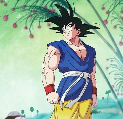 Son Goku (Fanon, Dragon Ball PT)/OkaraDragonicSaiyan | Character Stats ...