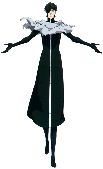Sosuke Aizen | Character Stats and Profiles Wiki | Fandom