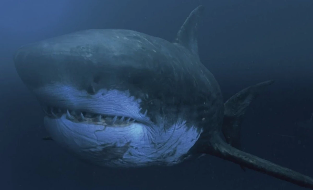 Mega Shark (Canon, Mega Shark (Series))/StrikerIsJustStriker ...