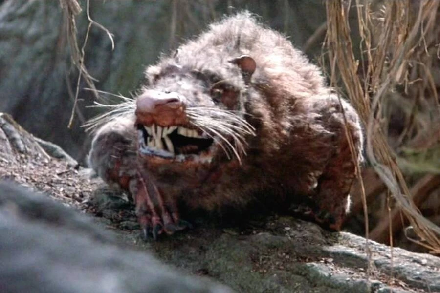 User blog:JohnGojira/Rodents of Unusual Size? How unusual? | Character ...