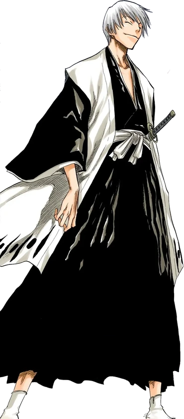 User blog:Guacamolefletcher/Gin Ichimaru profile | Character Stats and ...