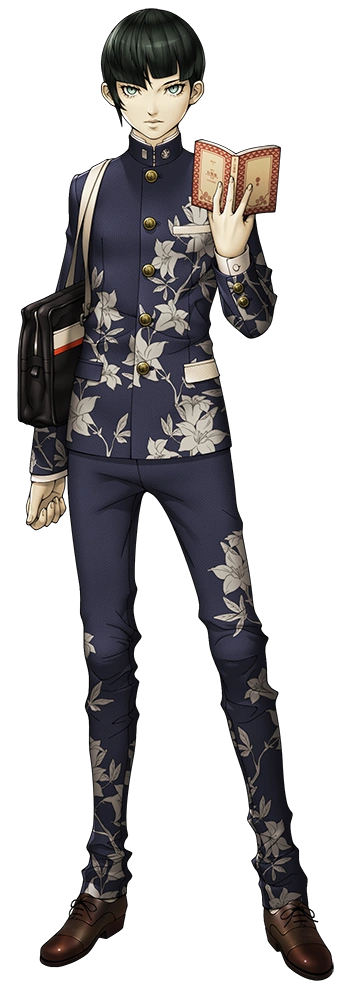 Shin Megami Tensei V Protagonist (Canon)/Benjamin1252 | Character Stats ...