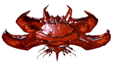 Destoroyah (Canon)/TyranoDoom30 | Character Stats and Profiles Wiki ...