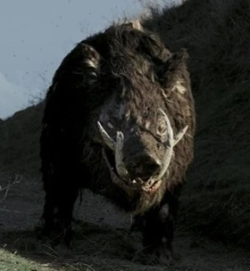 Boar (Canon, Boar)/StrikerIsJustStriker | Character Stats and Profiles ...