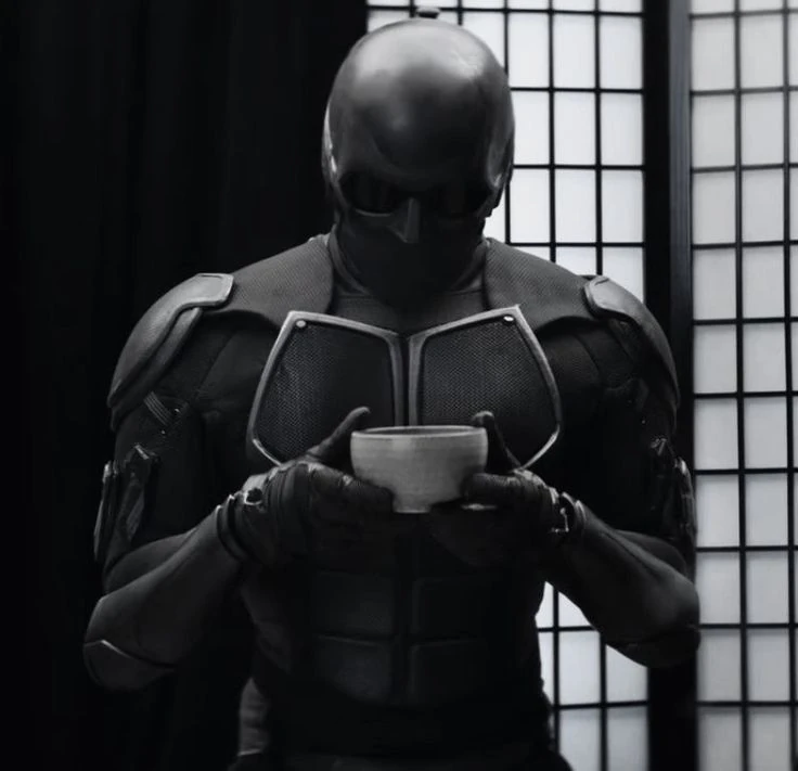 Black Noir (Canon, TV Series)/CitRusReality | Character Stats and ...