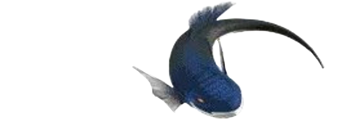 Remora (Canon, Paddle Pop)/TaiLung5000 | Character Stats and Profiles ...