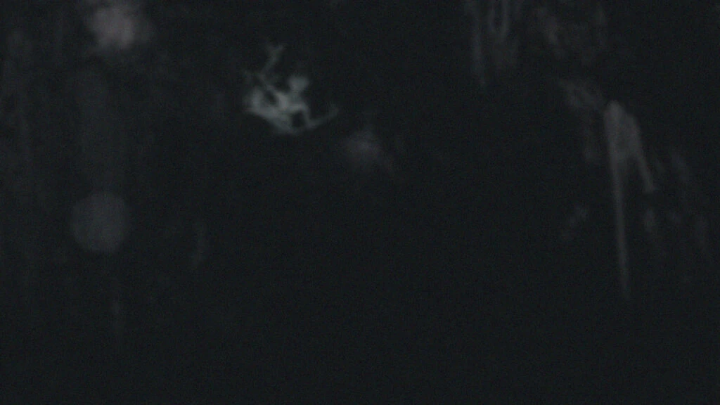 Cave Critter (Canon)/Sans2345 | Character Stats and Profiles Wiki | Fandom