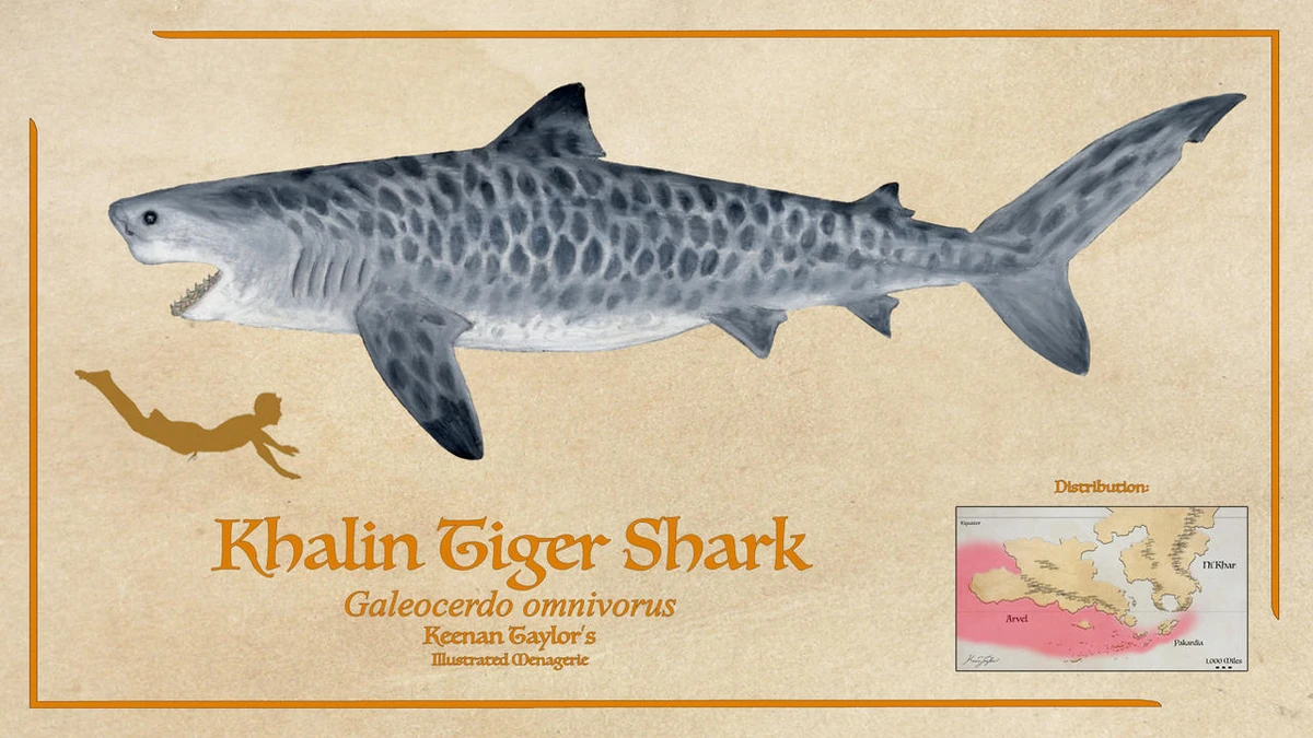 Khalin Tiger Shark (Canon, Tales of Kaimere)/2021 Animal | Character ...