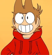 Tord | Character Stats and Profiles Wiki | Fandom