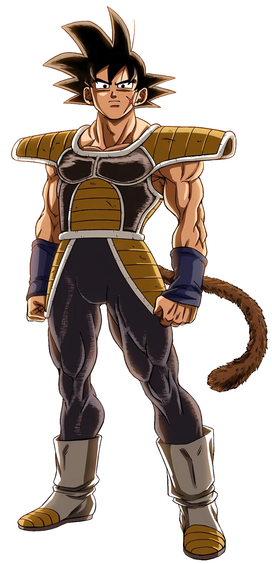 Bardock (Canon)/KaaydoManic | Character Stats and Profiles Wiki | Fandom