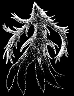 Adventure Time (Canon, Verse)/Stolp | Character Stats and Profiles Wiki ...