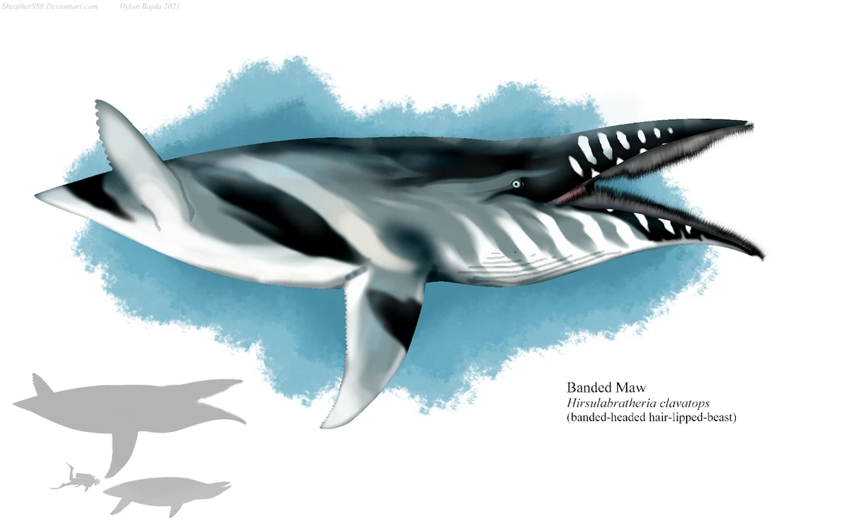 Banded Maw (Canon, Serina)/2021 Animal | Character Stats and Profiles ...