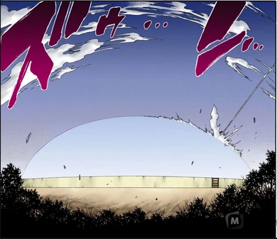 User blog:Guacamolefletcher/The extreme consistency of the Seireitei ...