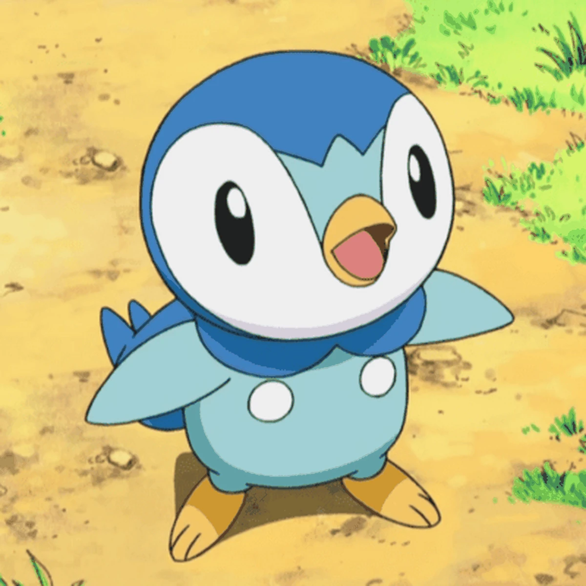 Piplup | Character-community Wiki | Fandom