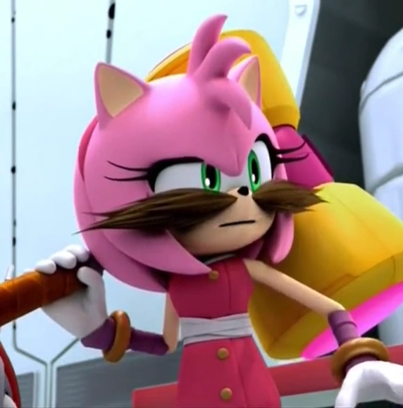 Amy Rose | Character-community Wiki | Fandom