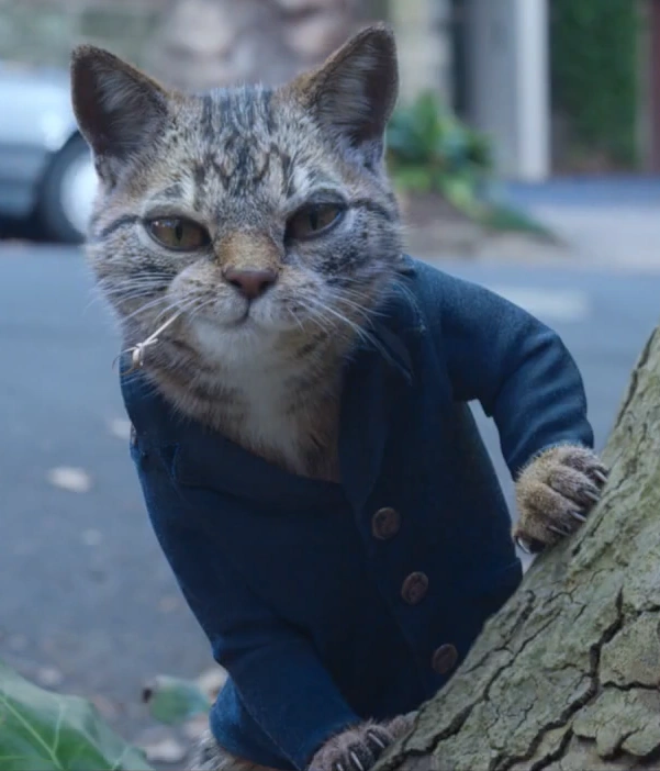 Tom Kitten | Character-community Wiki | Fandom