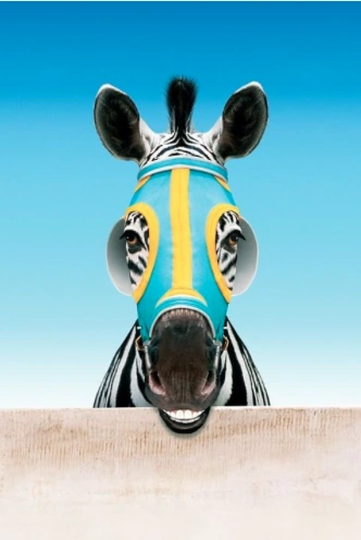 Stripes | Character-community Wiki | Fandom