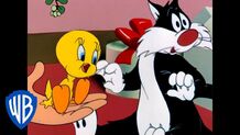 Tweety | Character-community Wiki | Fandom
