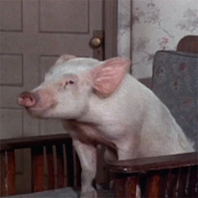 Arnold Ziffel | Character-community Wiki | Fandom