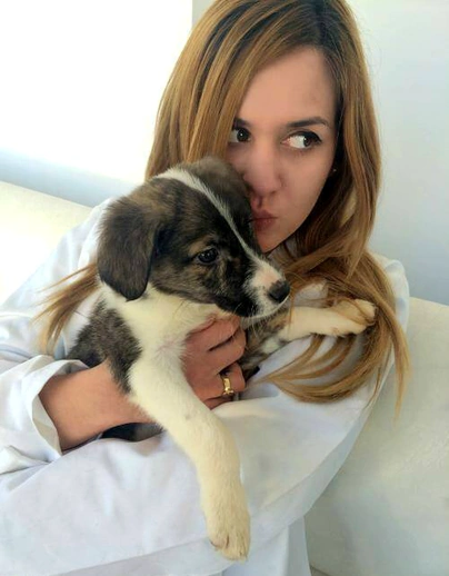 Category:Characters dubbed by Ina Memelli | Character-community Wiki ...