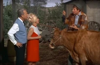 Lisa Douglas | Character-community Wiki | Fandom