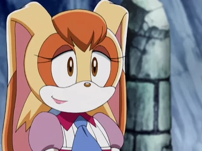 Vanilla the Rabbit (Sonic X) | Character-community Wiki | Fandom