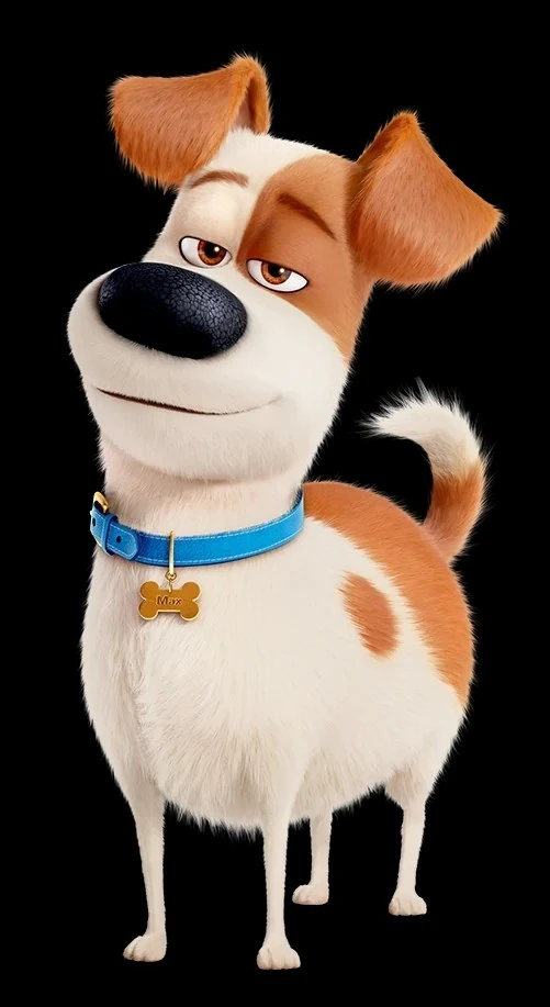 Max (The Secret Life of Pets) | Character-community Wiki | Fandom