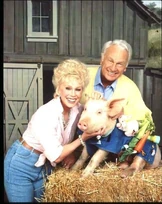 Lisa Douglas | Character-community Wiki | Fandom