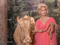 Lisa Douglas | Character-community Wiki | Fandom