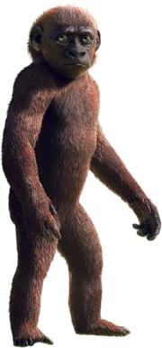 Suko | Character Profile Wikia | Fandom