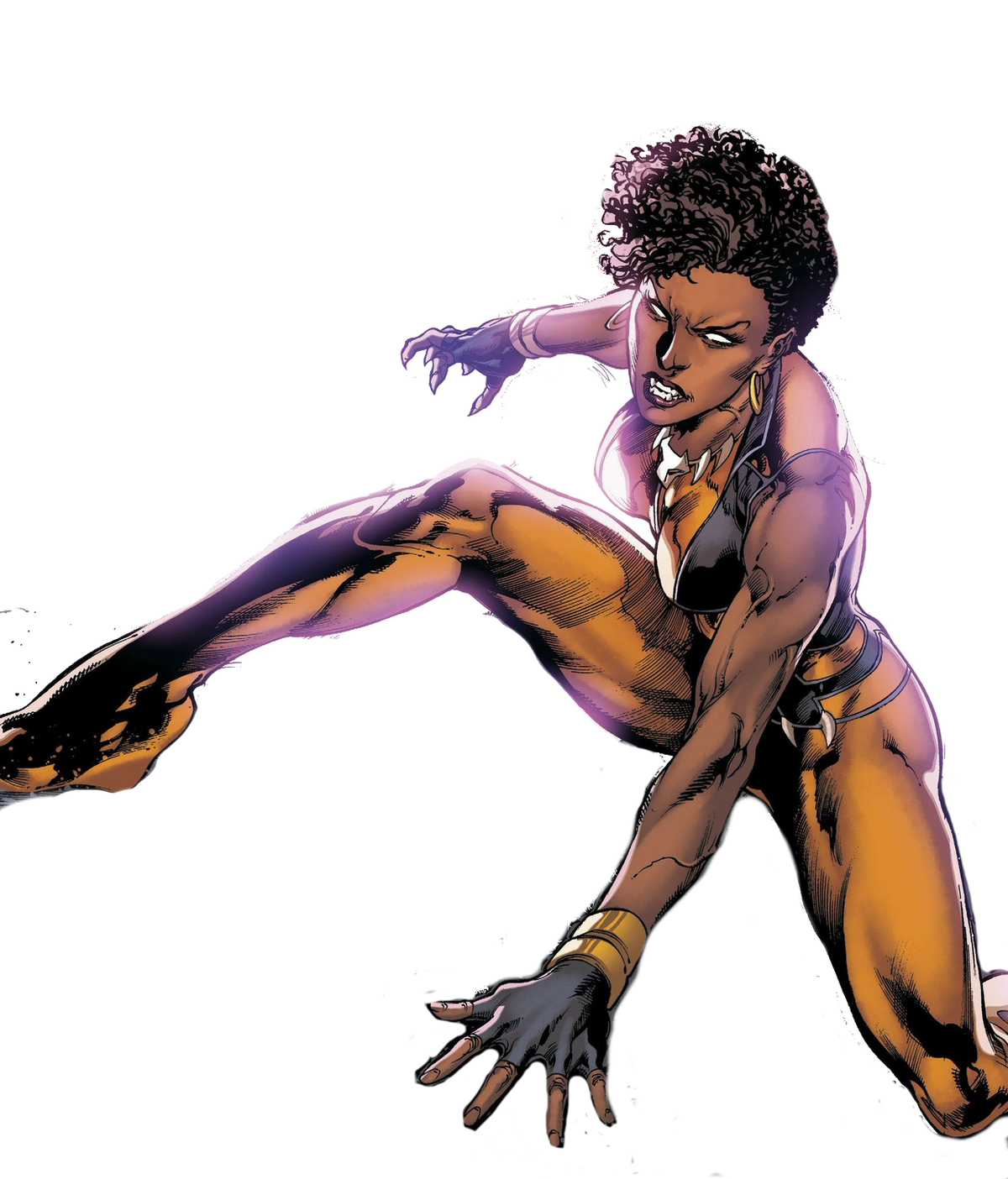 Vixen Character Profile Wikia Fandom