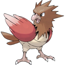 Fearow | Character Profile Wikia | Fandom