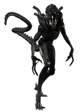Xenomorph | Character Profile Wikia | Fandom