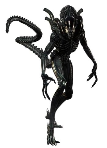 Xenomorph | Character Profile Wikia | Fandom