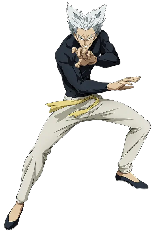 Garou | Character Profile Wikia | Fandom