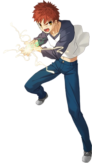 Shirou Emiya | Character Profile Wikia | Fandom